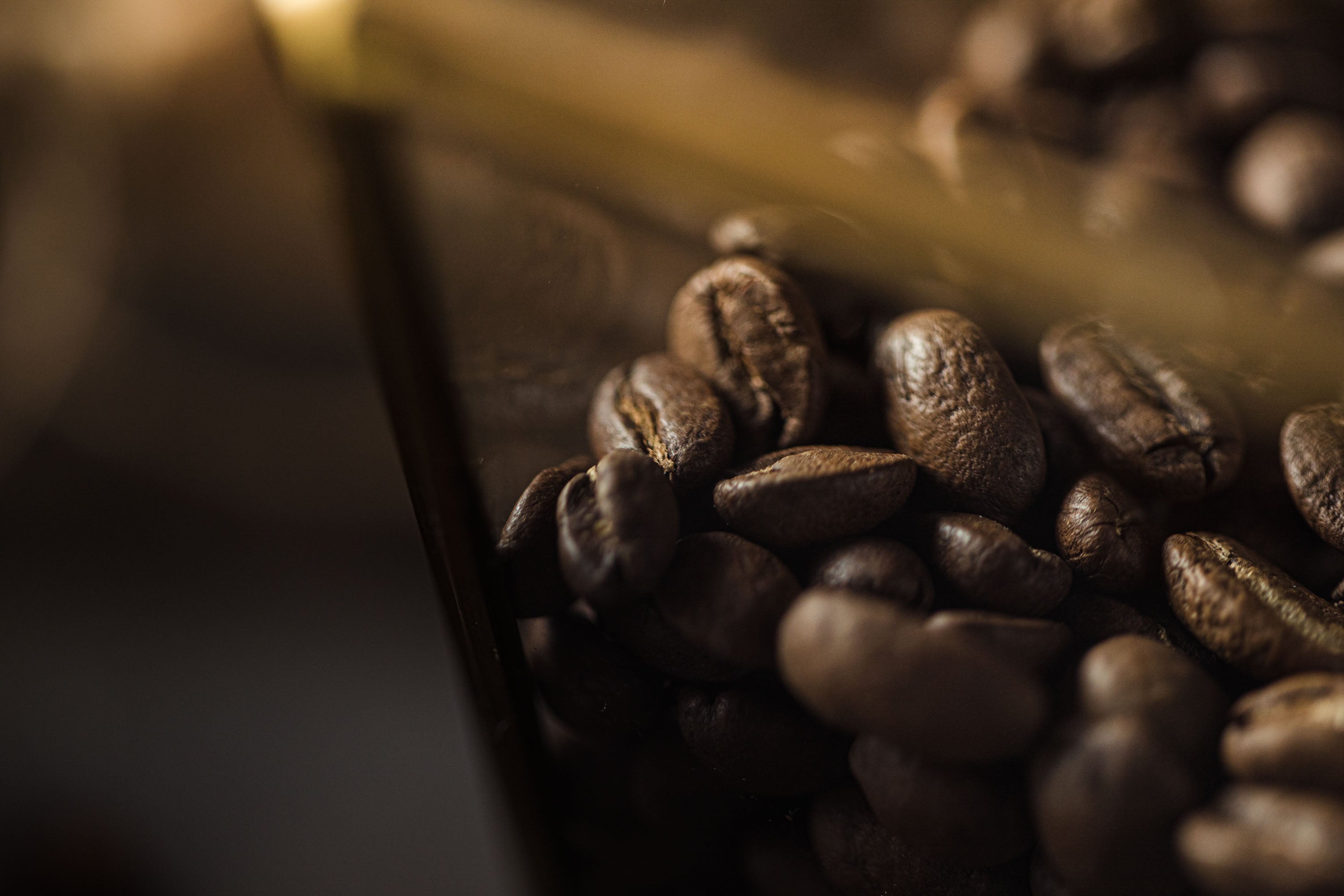 Gold Roast – Gioconda Coffee